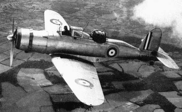 Blackburn Roc description.